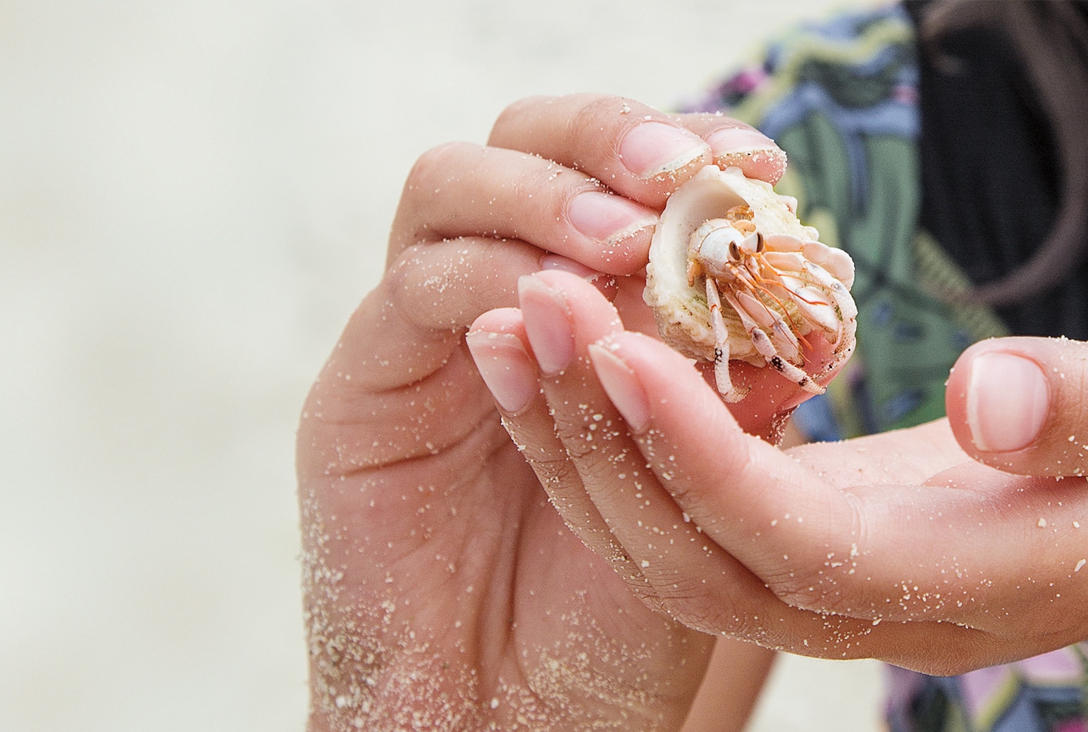 Moana Explorer Program | Paul Gauguin Cruises