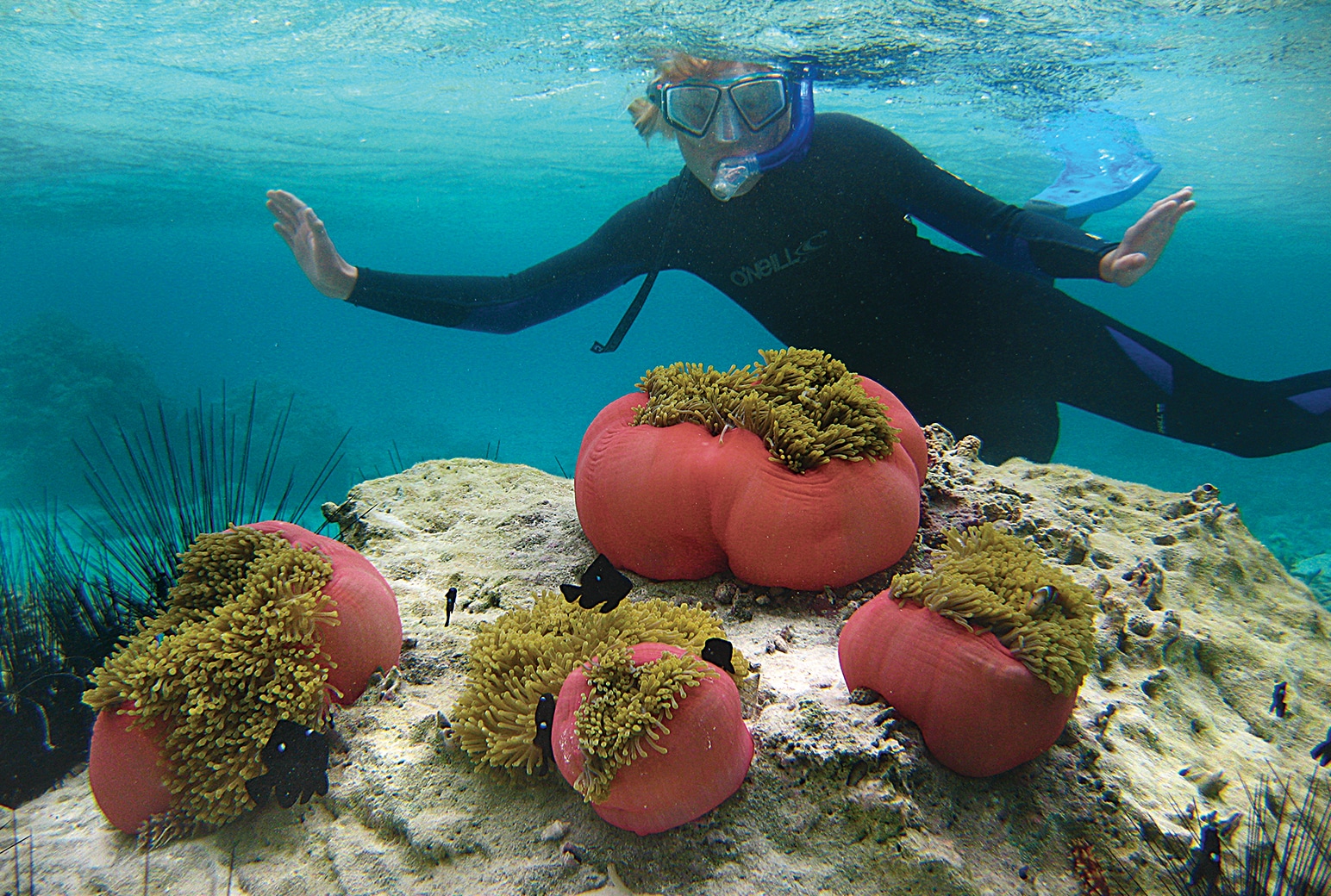 Moana Explorer Program | Paul Gauguin Cruises